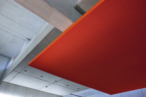 Max Planck Institute, Seewiesen